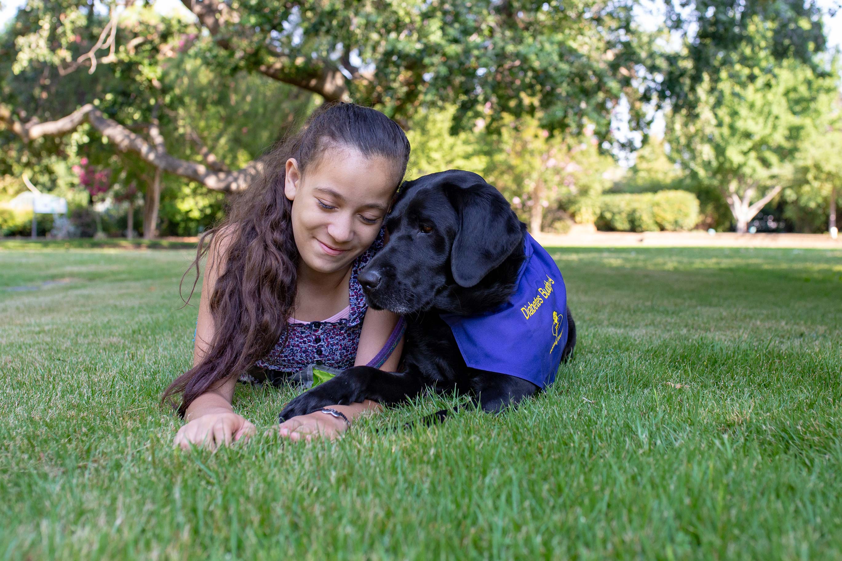 Type 1 Diabetes In Children: Apply For A Diabetes Buddy Dog