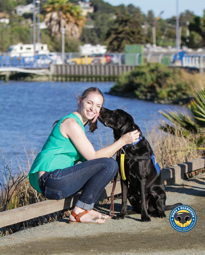 Canine Training Partners Program - National Institute of Canine Service ...