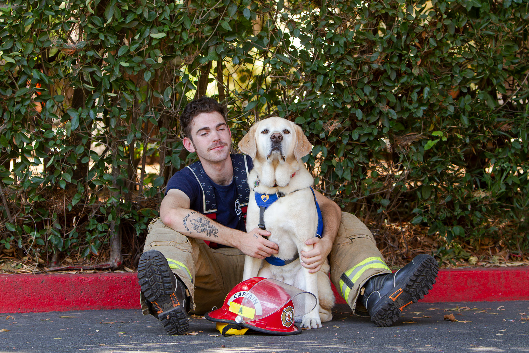 First Response K9 - National Institute of Canine Service and Training ...