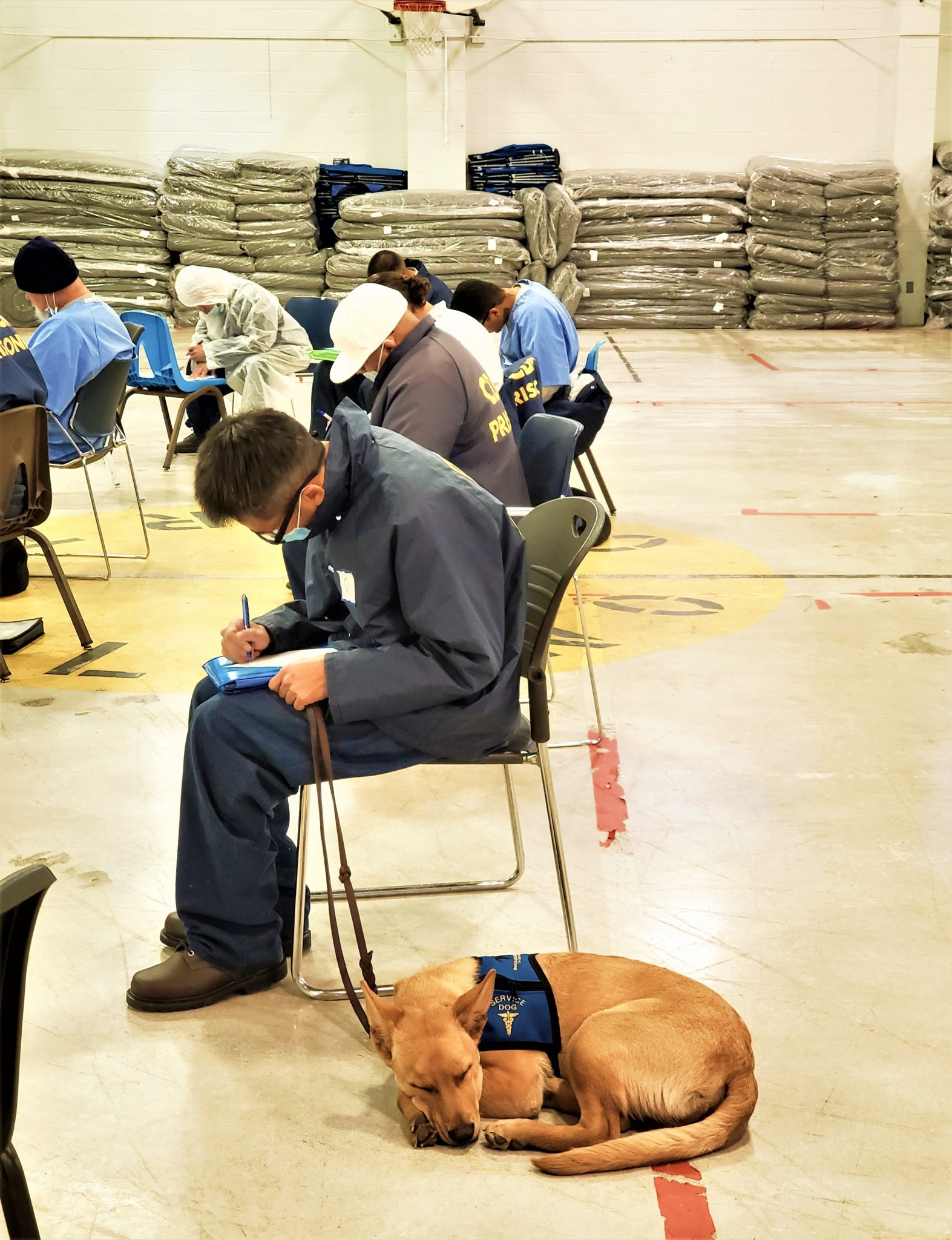 NICST Canine Prison Program